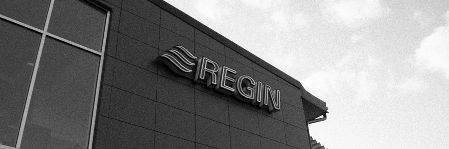 The history of Regin Group — Regin